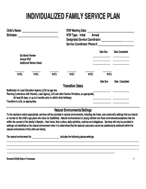 Individual service plan sample form - Fill Out and Sign Printable PDF ...