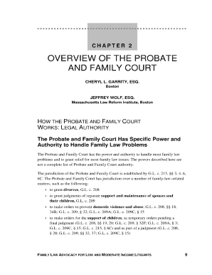 Family Law Trial Brief Sample