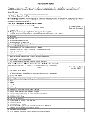 Irs Form 982 Insolvency Worksheet