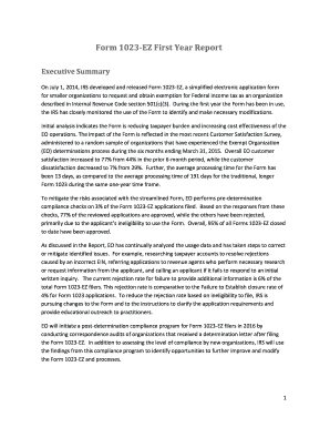 Form 1023-EZ First Year Report - Fill Out and Sign Printable PDF ...