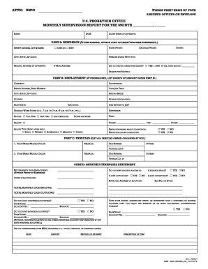 Federal Probation Monthly Supervision Report Online - Get What You Need For Free