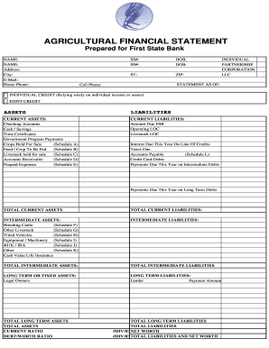 Farm Balance Sheet Template Excel