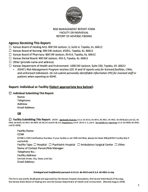 RISK MANAGEMENT REPORT FORM - Fill Out and Sign Printable PDF Template ...