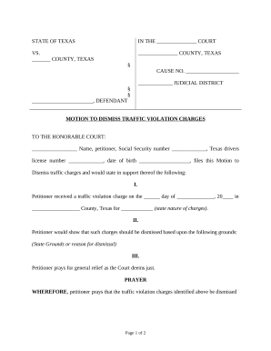 Traffic Ticket Template