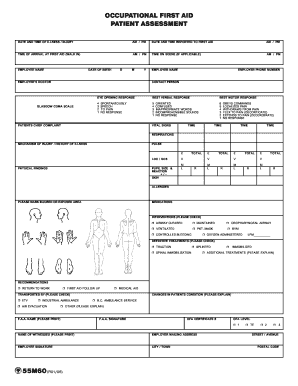Patient Assessment Form - Fill Out and Sign Printable PDF Template ...
