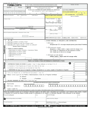 Form 480 Puerto Rico